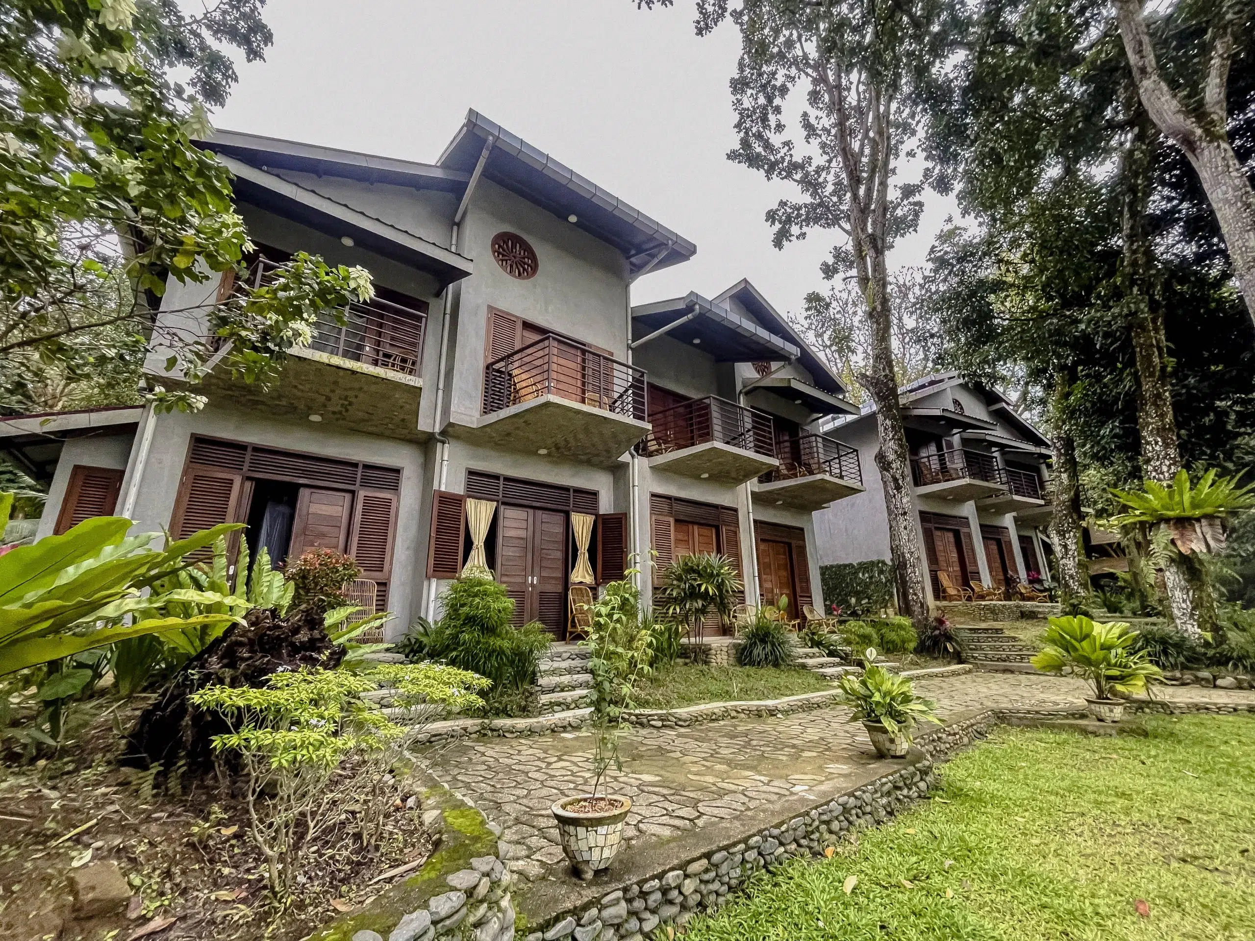 5 Rekomendasi Hotel Bukit Lawang Terbaik
